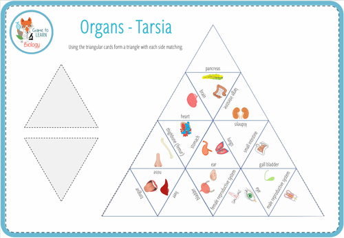 Organs - Digital Tarsia (KS3) | Teaching Resources
