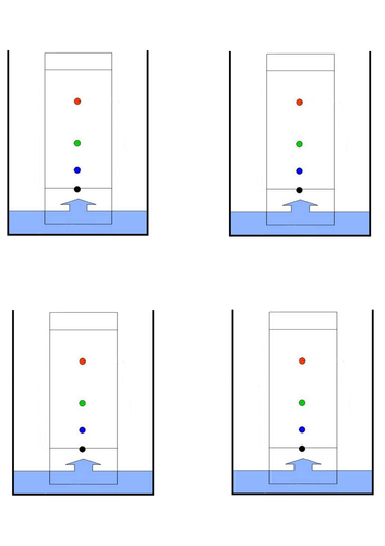 Chromatography KS3 Activate Science | Teaching Resources