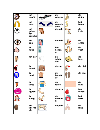 Lichaam (Body in Dutch) Desk Mat | Teaching Resources