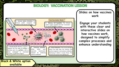 KS4 GCSE Biology (Science) Vaccination Lesson & Activities | Teaching ...