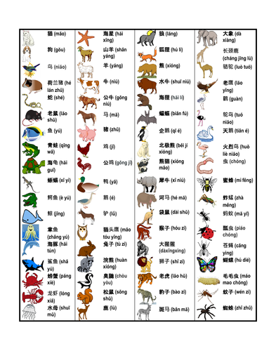 动物 Dòngwù (Animals in Chinese) Desk Mat | Teaching Resources