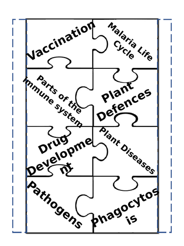 KS4 AQA GCSE Biology (Science) Immune System Lesson & Activities ...