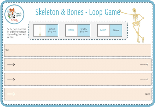 Skeleton and Bones - Digital Loop Game (KS2/3) | Teaching Resources