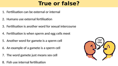 female and male reproductive systems (KS3/Yr7) | Teaching Resources