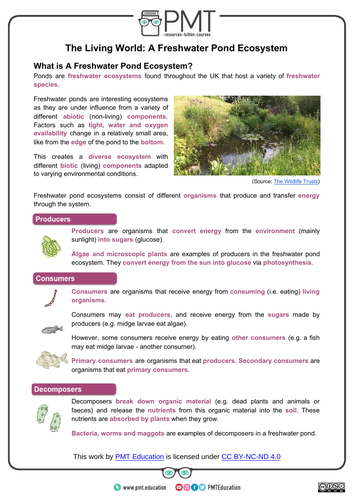 AQA GCSE Geography Case Study Notes | Teaching Resources AQA GCSE Geography Case Study Notes | Teaching Resources