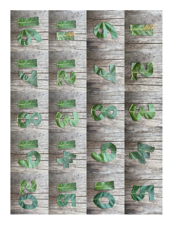 Leaf numbers in fives and tens | Teaching Resources