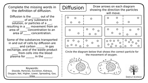 Cell Transport - GCSE Biology Worksheets | Teaching Resources