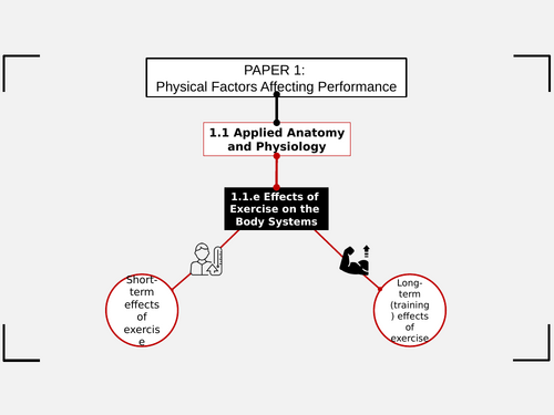 GCSE PE Short and Long Term Effects of Exercise Bundle | Teaching Resources