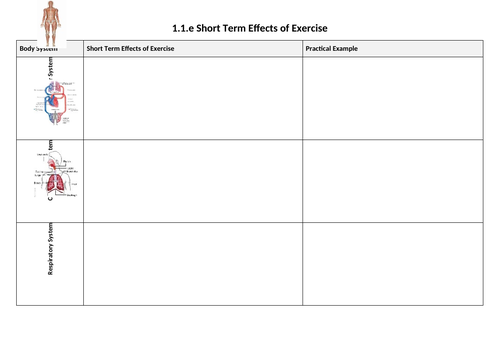 GCSE PE Short and Long Term Effects of Exercise Bundle | Teaching Resources
