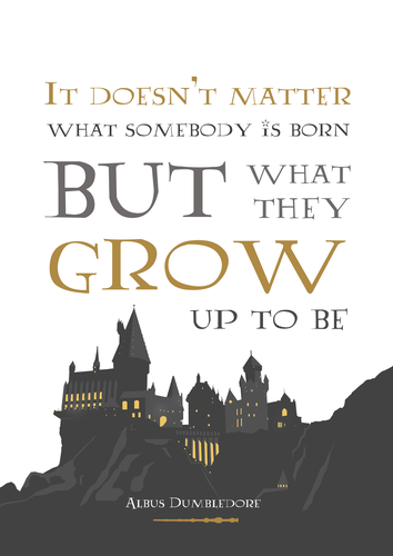 Harry Potter Wizarding World Inspired Classroom Quote Poster Set ...