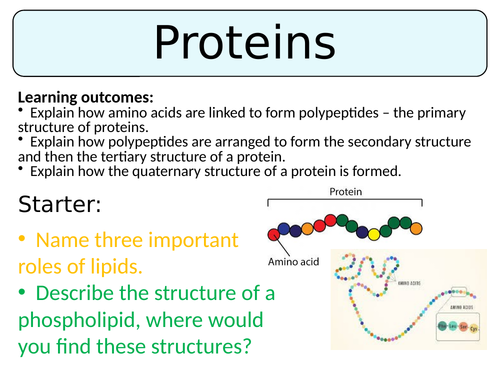 NEW (2016) AS-Level Biology - Proteins | Teaching Resources