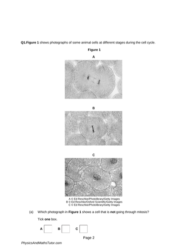 GCSE CCEA Biology Cells Complete Revision Summary | Teaching Resources