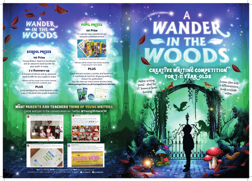 A Wander In The Woods Mini Sagas Writing Resources | Teaching Resources