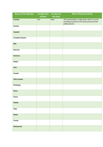 GCSE PE Classification of Bones Lesson | Teaching Resources