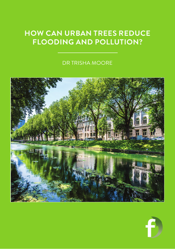 Urban tree systems and stormwater runoff | Teaching Resources