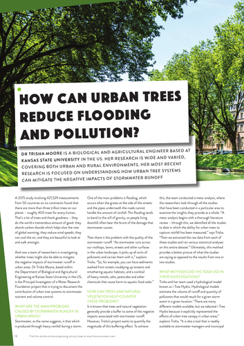 Urban tree systems and stormwater runoff | Teaching Resources