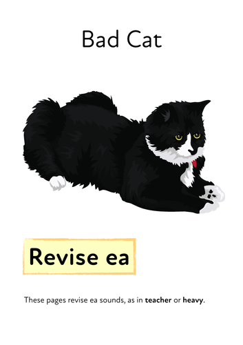 Reading Comprehension 'Bad Cat' (4-8 years) | Teaching Resources