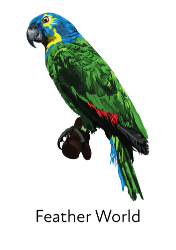 Reading Comprehension 'Feather World' (4-8 years) | Teaching Resources