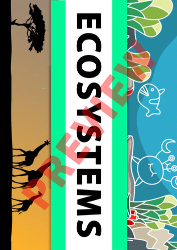 Ecosystems Vocabulary Cards | Teaching Resources