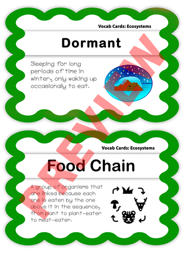 Ecosystems Vocabulary Cards | Teaching Resources