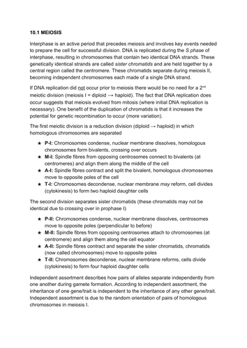 IB Biology SL + HL Summaries | Teaching Resources