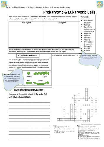 Eukaryotes & Prokaryotes GCSE Classroom/Revision Worksheet | Teaching ...