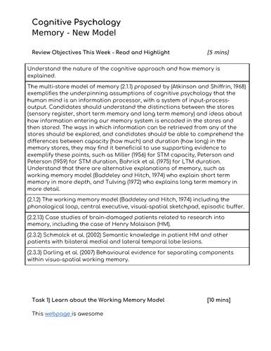 Working Memory Wmm Teaching Resources