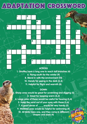 Animal Adaptation Crossword | Teaching Resources
