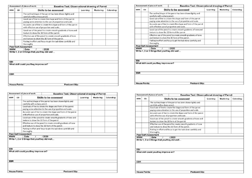 Art Animal Baseline Test Year 7 Introductory Lesson | Teaching Resources