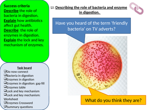 KS3 Bacteria and enzymes in digestion | Teaching Resources
