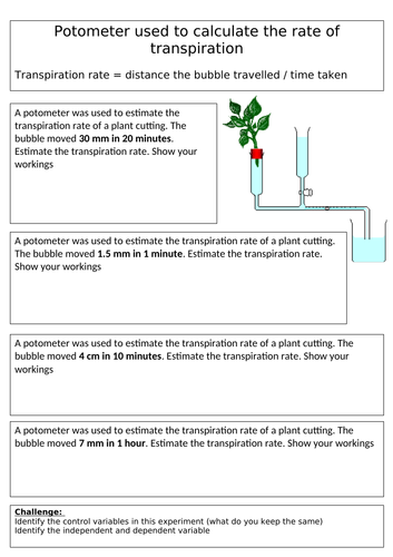 Calculating rate of transpiration | Teaching Resources