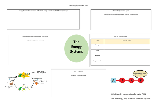 Unit 1 Level 3 BTEC Sport: Energy Systems Mind Map | Teaching Resources