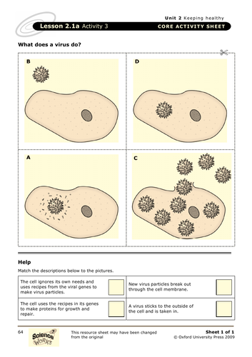 MICROBES AND DISEASE KS3 LESSON PPT AND WORKSHEET | Teaching Resources