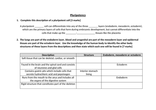 Stem cells and cell potency (Edexcel Int. A-level Biology) | Teaching ...