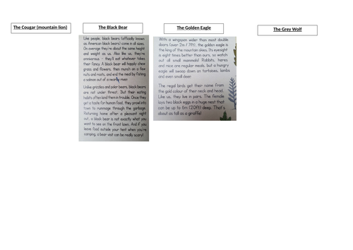 Year 3/4 - Whole Class Reading - Canadian Animals - Vocabulary ...