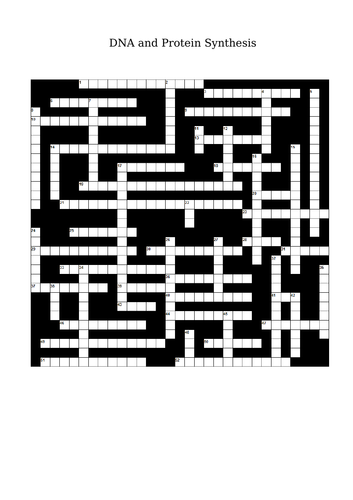 5. DNA and Protein Synthesis Crossword: Text Documents and Interactive ...