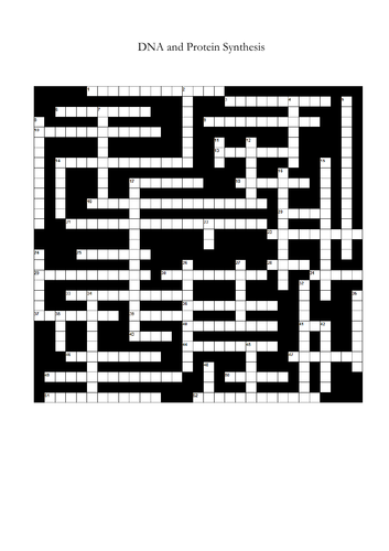 5. DNA and Protein Synthesis Crossword: Text Documents and Interactive ...