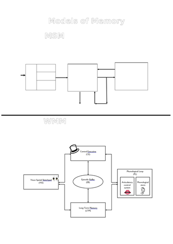AQA Psychology Memory Revision A3 Sheets | Teaching Resources