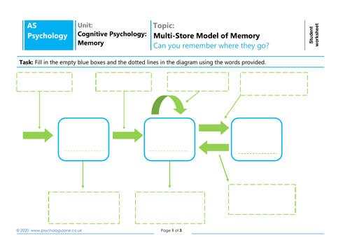 Multi-store model | Teaching Resources