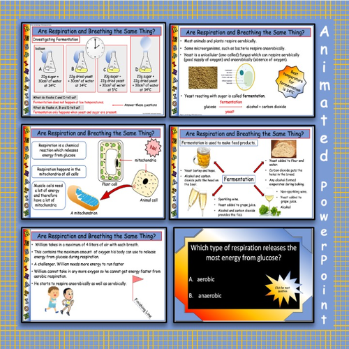 Respiration Explained KS3- Fully Resourced Lesson | Teaching Resources
