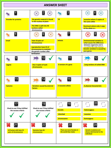 Genetics KS3 | Teaching Resources