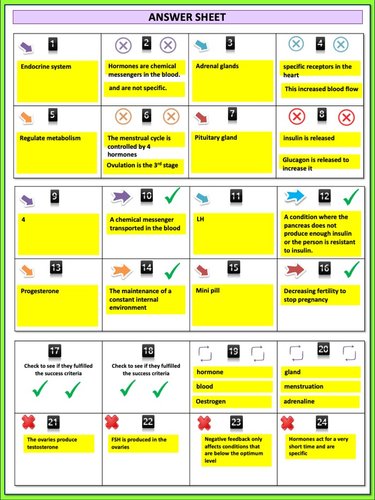 Hormones - Science | Teaching Resources