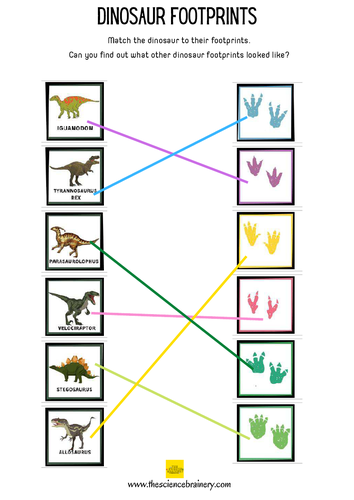 Dinosaur footprint matching game | Teaching Resources