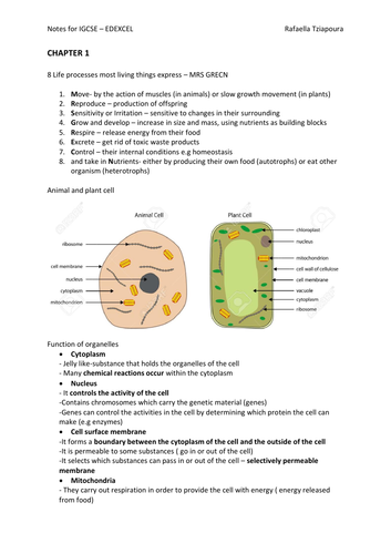 IGCSE International 9-1 Chapter 1 Organisms and life processes ...