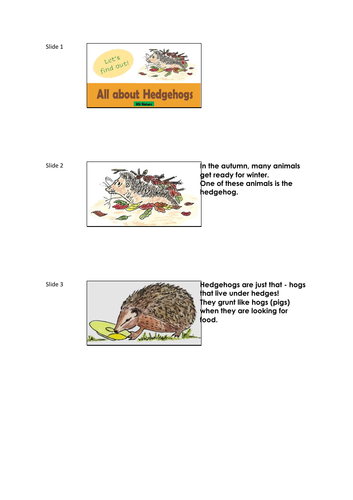 Hedgehog PowerPoint for KS1 Science Animals Autumn | Teaching Resources