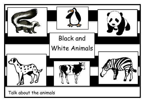 Animals that are Black and White Worksheets | Teaching Resources