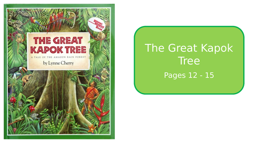 'The Great Kapok' Tree Whole Class Reading Powerpoints and Questions ...