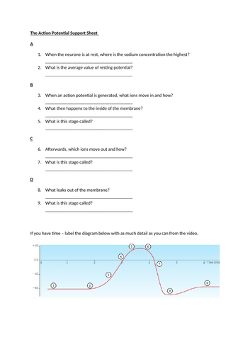 Biology Action Potentials A-Level KS5 - Outstanding Lesson | Teaching ...