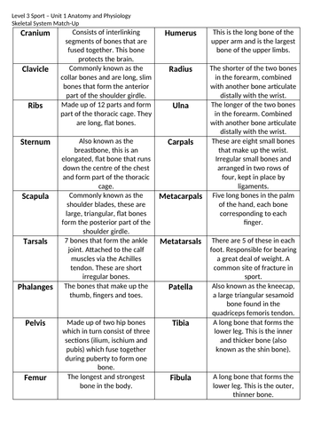 Unit 1: Anatomy & Physiology Package | Teaching Resources