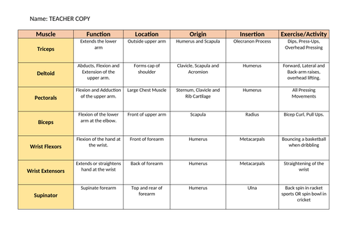 Unit 1: Anatomy & Physiology Package | Teaching Resources